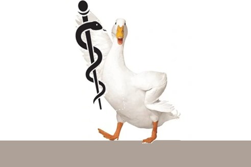 How to Identify a Quack - HBN Show